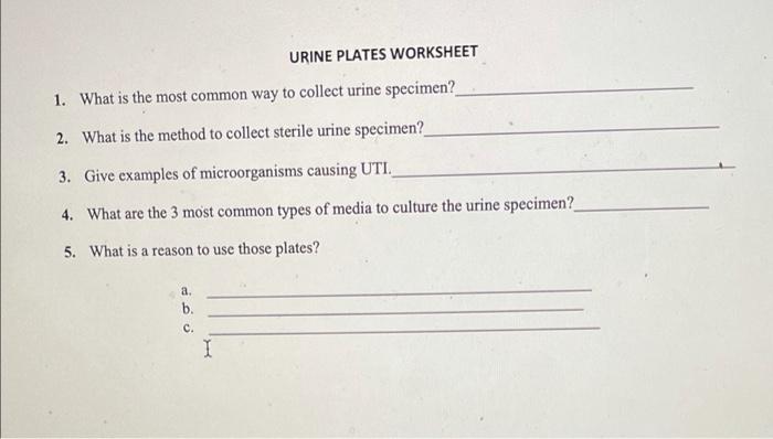 Solved URINE PLATES WORKSHEET 1. What is the most common way | Chegg.com