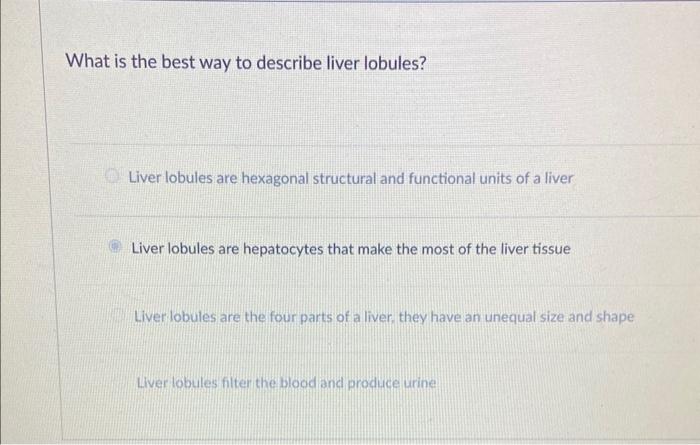 Solved What is the best way to describe liver lobules? Liver | Chegg.com