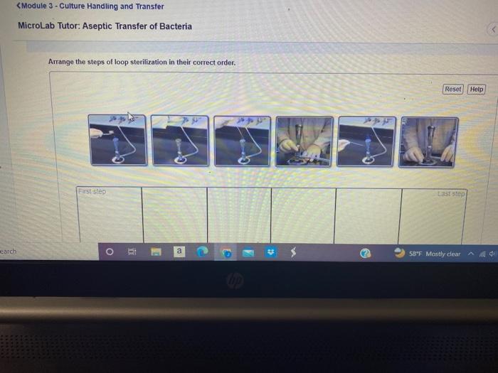 Solved MicroLab Tutor: Aseptic Transfer of Bacteria Arrange | Chegg.com