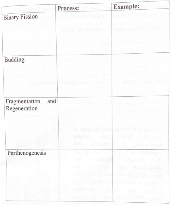 Solved Process: Example: Binary Fission Budding | Chegg.com