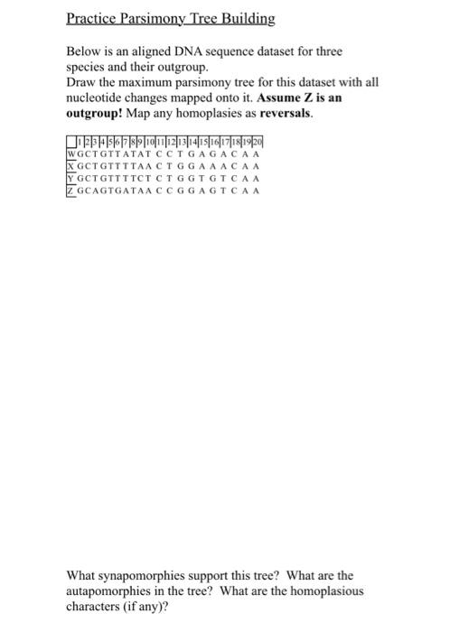 Solved Please help. I drew my tree but im uncertain about | Chegg.com