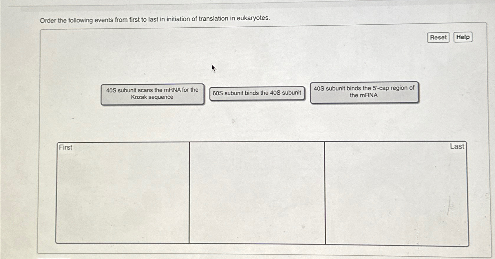Solved Order the following events from first to last in | Chegg.com