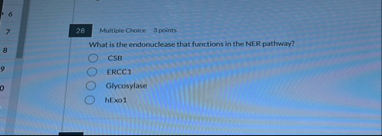Solved 28Multiple Croice 3 ﻿pointsWhat is the endonuclease | Chegg.com