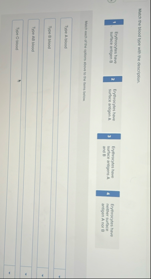 Solved Match the blood type with the | Chegg.com