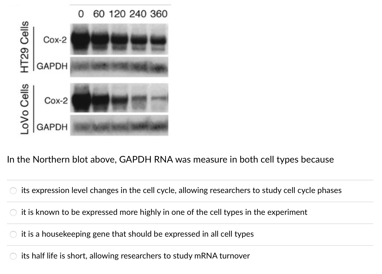 Solved In the Northern blot above, GAPDH RNA was measure in | Chegg.com