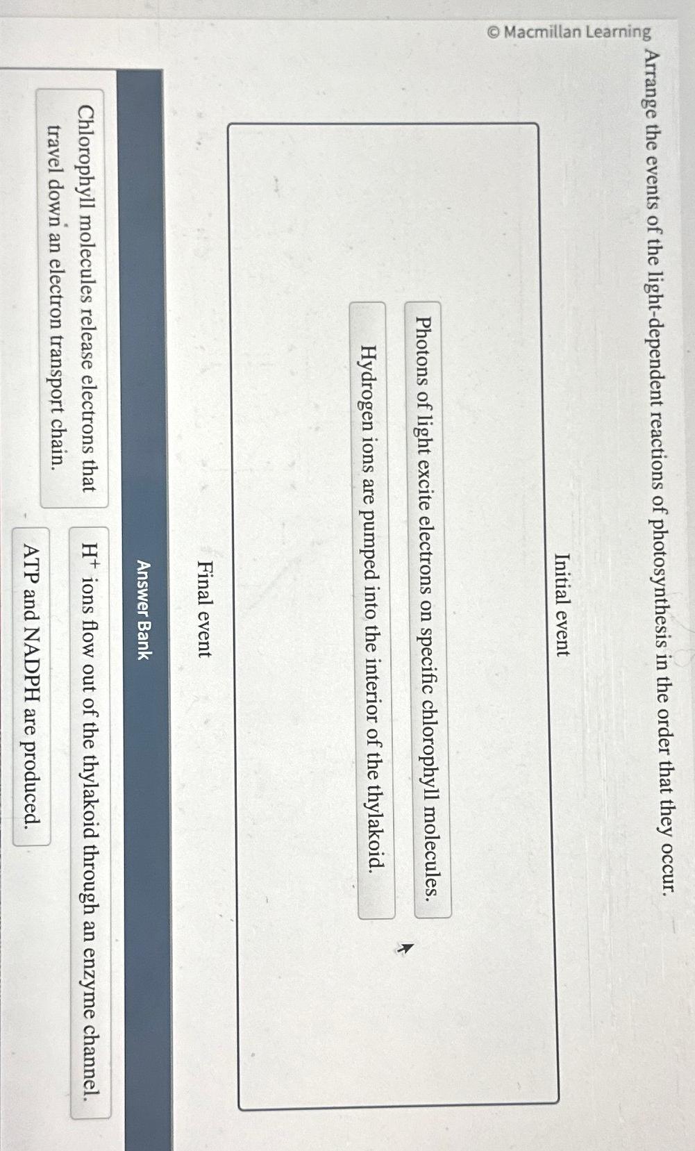Solved Arrange the events of the light-dependent reactions | Chegg.com