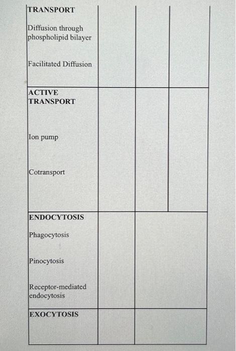 Solved Molecule transport summary: Identify each of the | Chegg.com