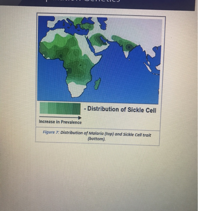 Solved Experiment 5: Sickle Cell Anemia Inheritance Patterns | Chegg.com