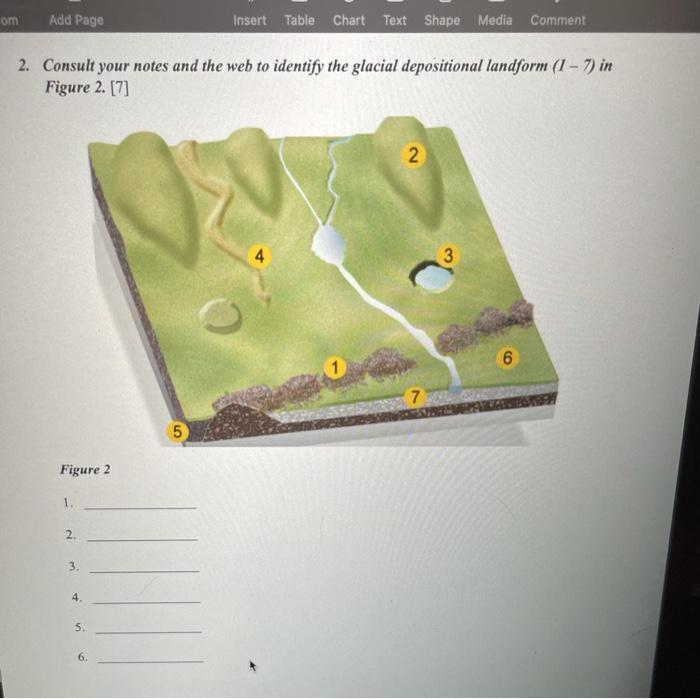 Solved om Add Page Insert Table Chart Text Shape Media | Chegg.com