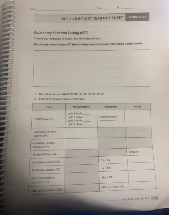 Name: Date: TA: MODULE 17 PET LAB REPORT TEAR OUT | Chegg.com