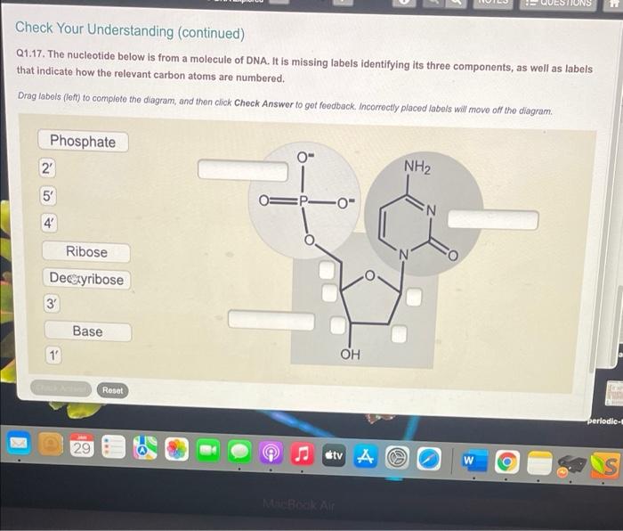 Solved Check Your Understanding (continued) 01.17. The | Chegg.com