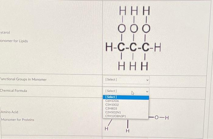 Solved Functional Groups in Organic Molecules In the | Chegg.com