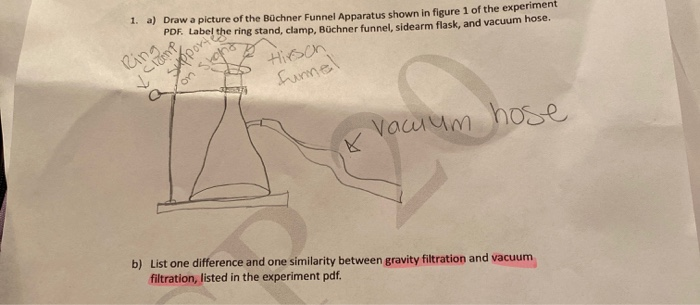 Solved 1. a) Draw a picture of the Büchner Funnel Apparatus | Chegg.com