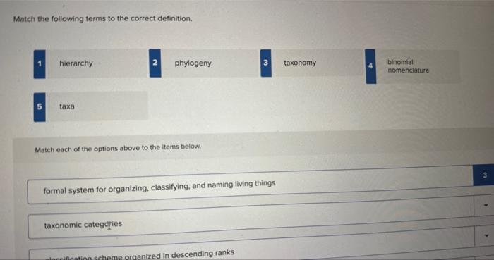 Solved Match the following terms to the correct | Chegg.com