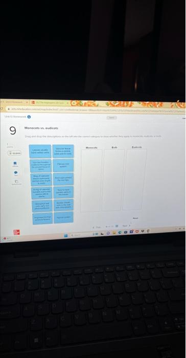 Solved Mponocons vis budicets \begin{tabular}{|c|c|} \hline | Chegg.com