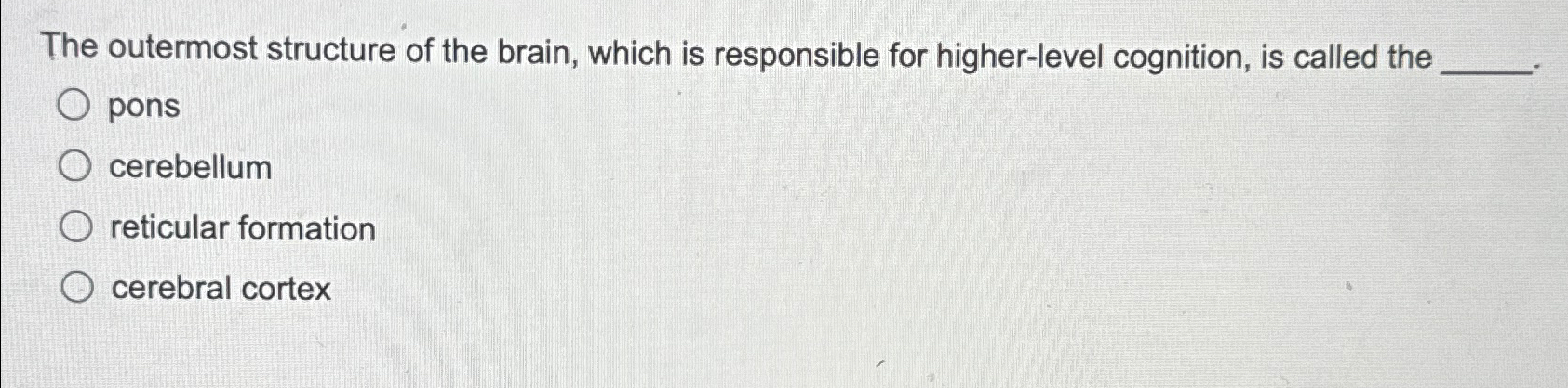 Solved The outermost structure of the brain, which is | Chegg.com