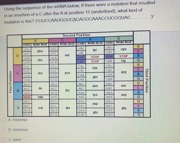 Solved Using the sequence of the mRNA below. If there were a | Chegg.com