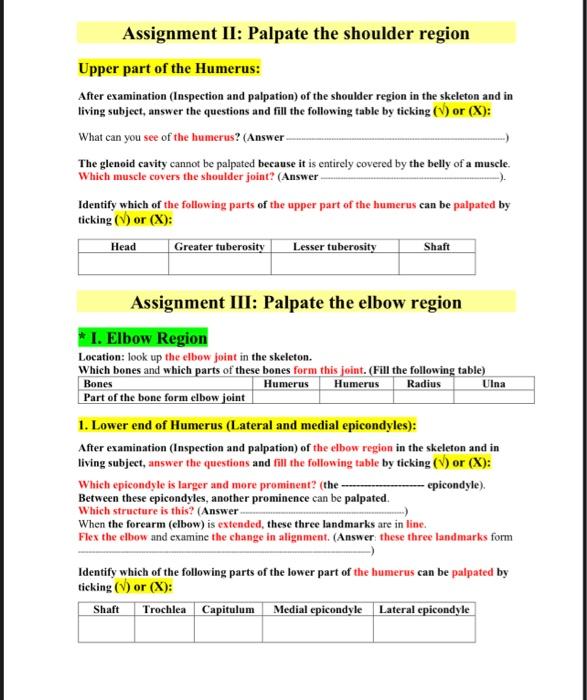 Assignment II: Palpate the shoulder region Upper part | Chegg.com