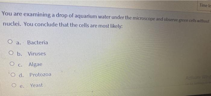 Solved Time le You are examining a drop of aquarium water | Chegg.com