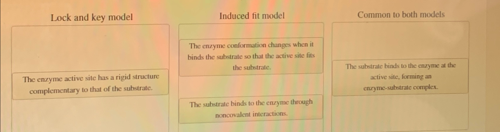 Solved Lock and key model\table[[,\table[[The enzyme | Chegg.com