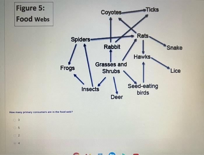 [Solved]: How many primary consumers are in the food web? 3