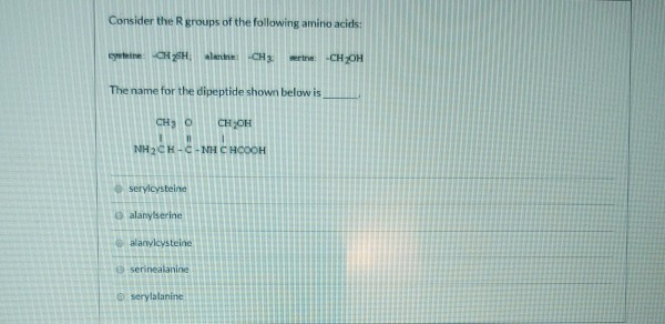 Solved Consider the groups of the following amino acids | Chegg.com