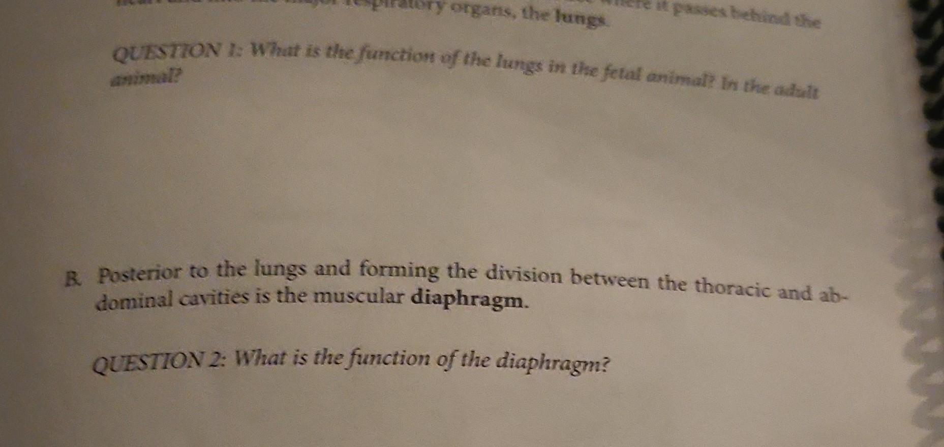 Solved QUESTION 1: What is the function of the lungs in the | Chegg.com