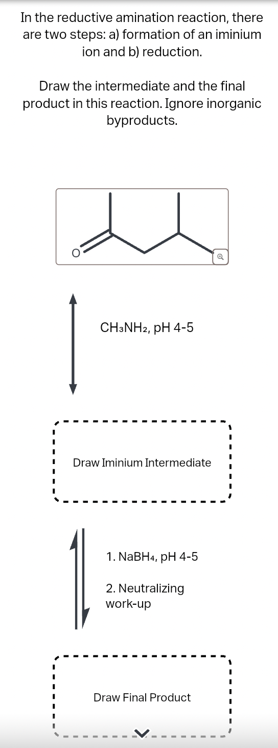Solved In ﻿the reductive amination reaction, thereare two | Chegg.com