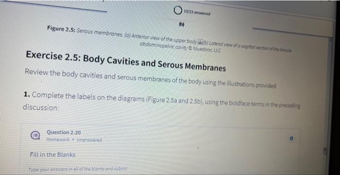Solved obdominopelvic cavity 6 bluedosc, Lic Exercise 2.5: | Chegg.com