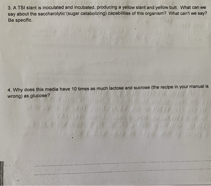 Solved 3. A TSI slant is inoculated and incubated, producing | Chegg.com