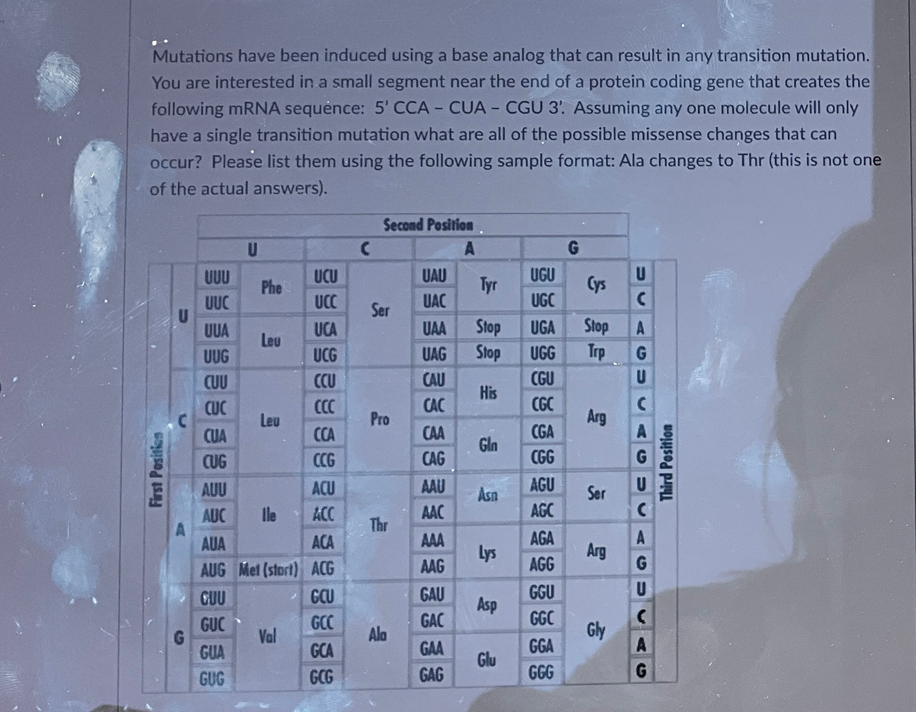 Solved Mutations have been induced using a base analog that | Chegg.com