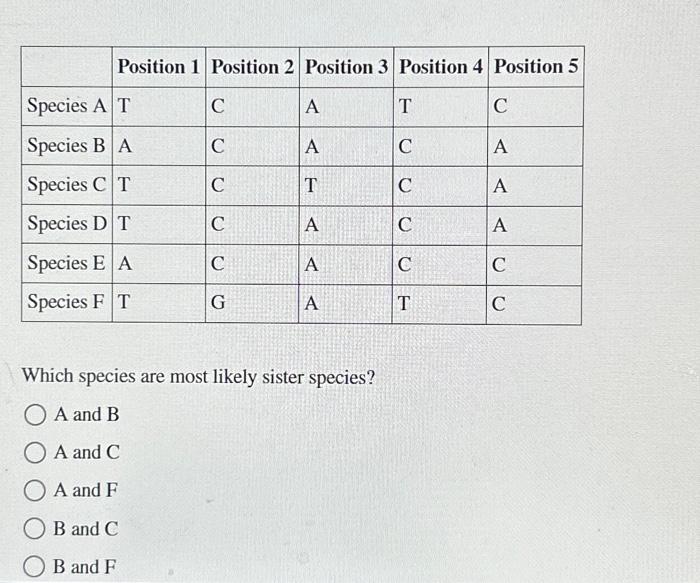 Solved Position 1 Position 2 Position 3 Position 4 Position | Chegg.com