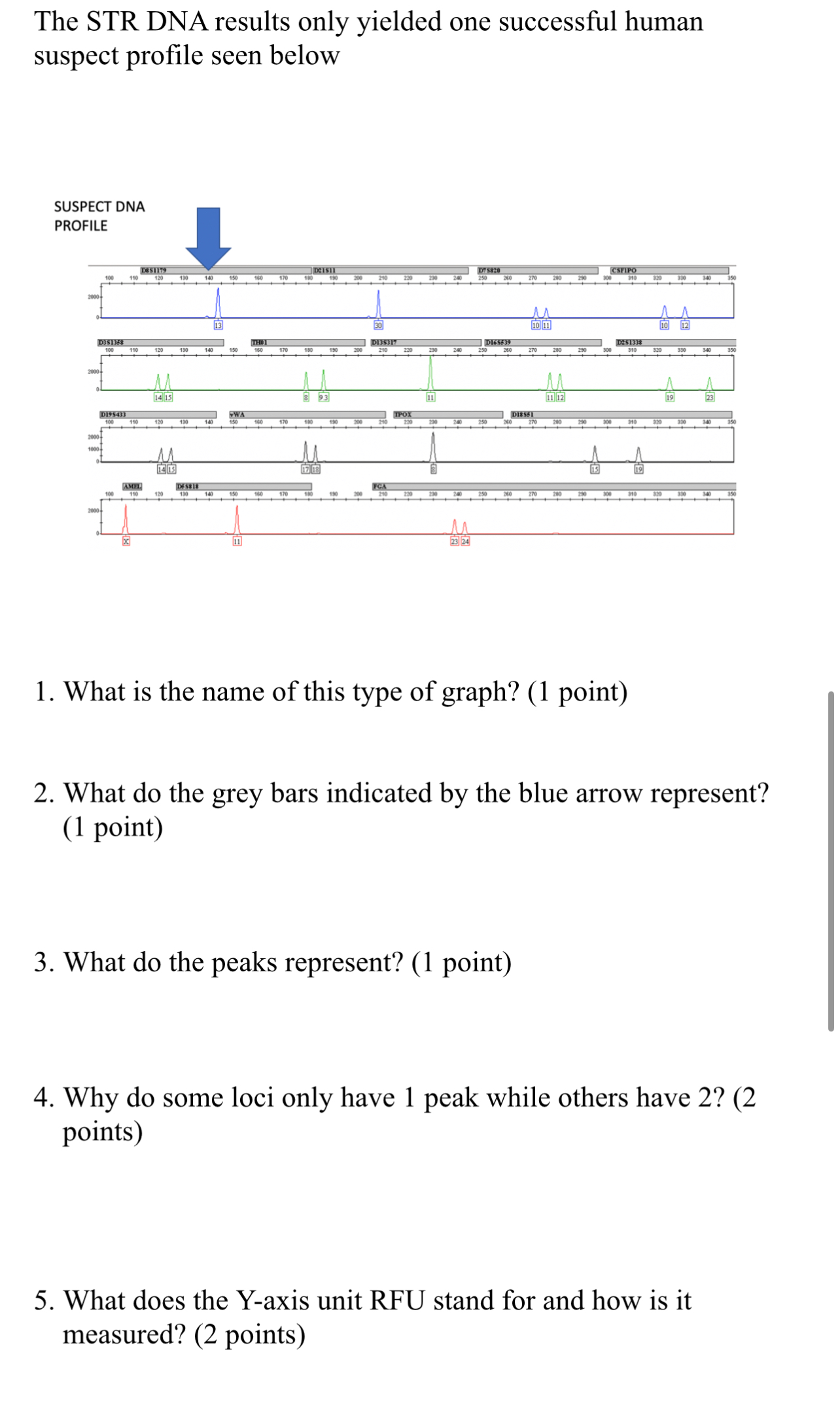 Solved ElectropherogramWhat do the grey bars indicated by | Chegg.com
