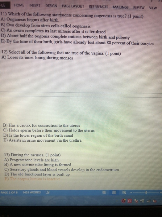 Solved FILE HOME INSERT DESIGN PAGE LAYOUT REFERENCES | Chegg.com