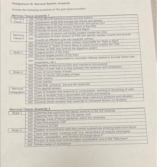 Solved Assignment 16: Nervous System Jeopardy Answer the | Chegg.com