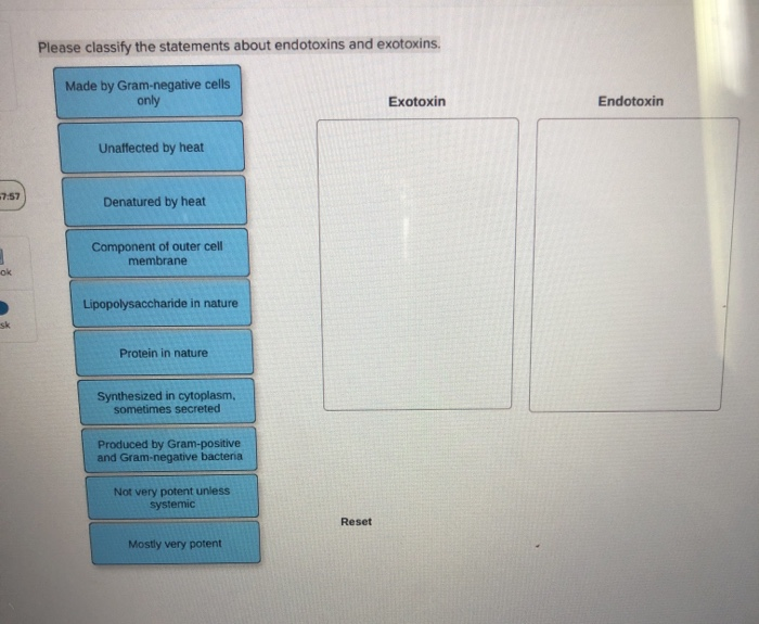 Solved Classify the statements as being true for either | Chegg.com