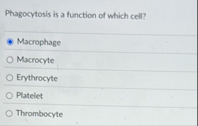 Solved Phagocytosis is a function of which | Chegg.com
