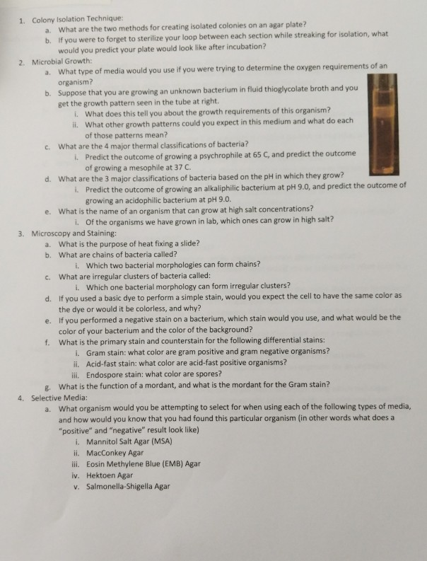 Solved c. 1. Colony Isolation Technique: a. What are the two | Chegg.com