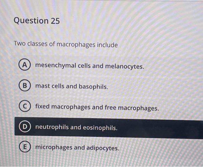 Two types of microphages include mesenchymal cells | Chegg.com
