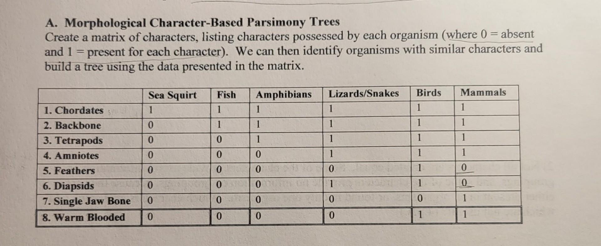 Solved A. Morphological Character-Based Parsimony Trees | Chegg.com