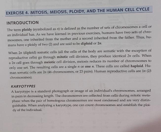 Solved EXERCISE 4. MITOSIS, MEIOSIS, PLOIDY, AND THE HUMAN | Chegg.com