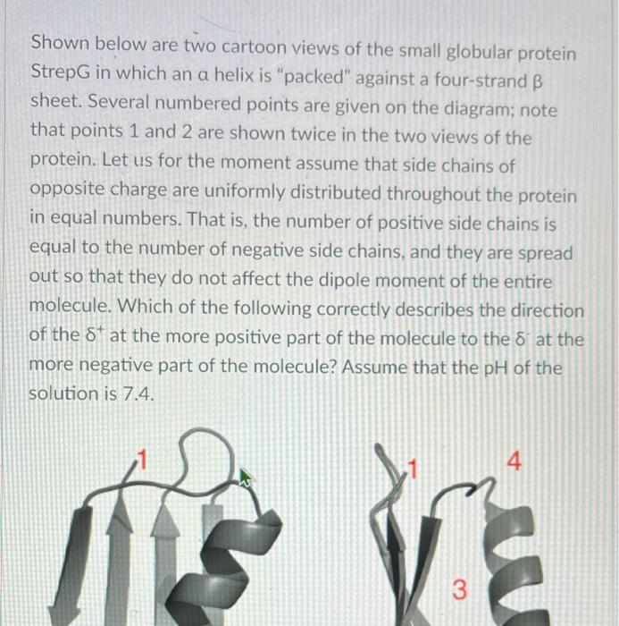 Solved Shown below are two cartoon views of the small | Chegg.com