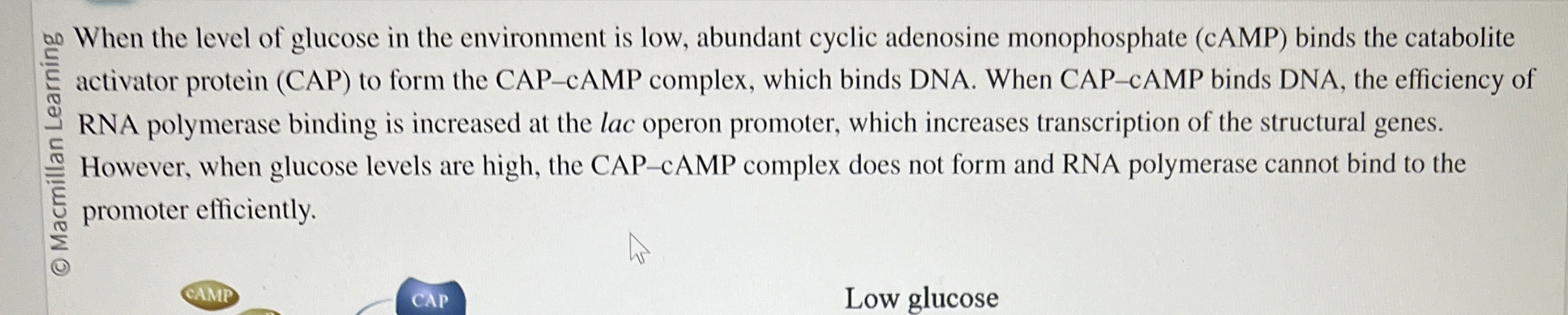 Solved When the level of glucose in the environment is low, | Chegg.com