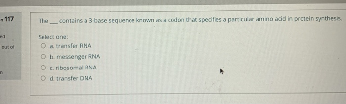 Solved n 117 The contains a 3-base sequence known as a codon | Chegg.com