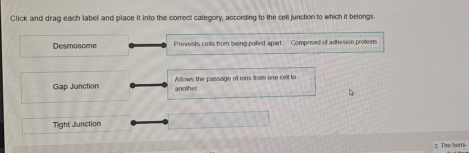 Solved Click and drag each label and place it into the | Chegg.com
