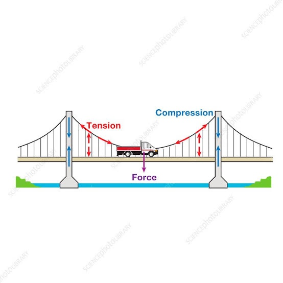 Solved let the bridge's deck 600mm long,120mm width and 0.5 | Chegg.com