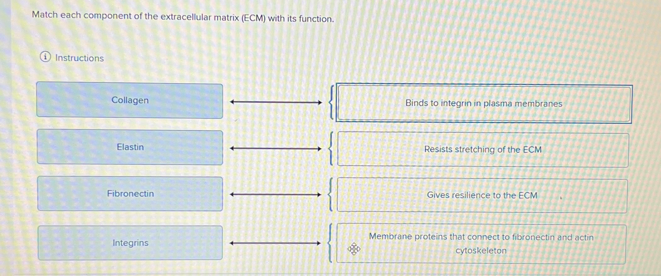 Solved Match each component of the extracellular matrix | Chegg.com
