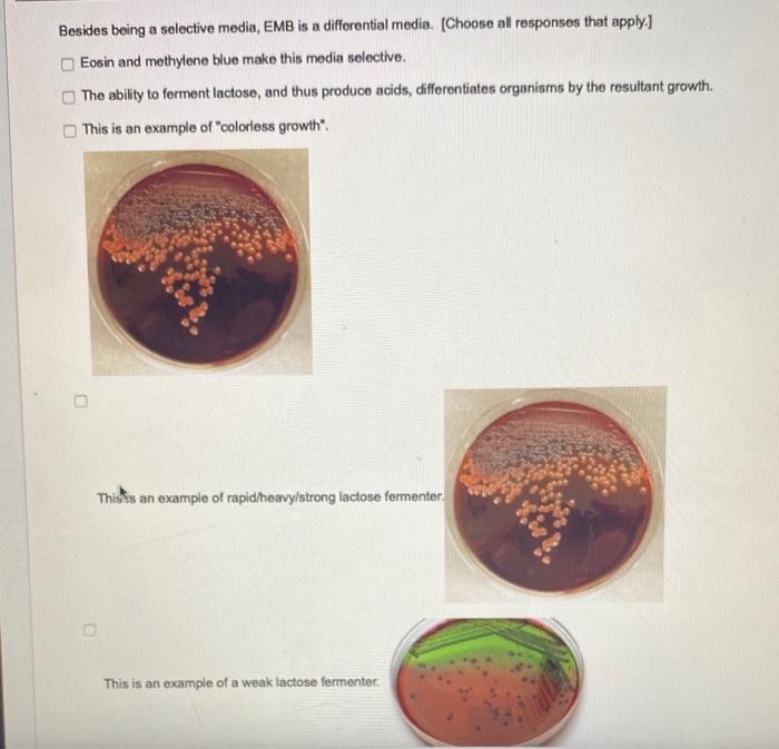 Solved Besides being a selective media, EMB is a | Chegg.com