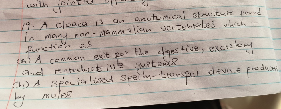 Solved A cloaca is an anotomical structure found in many non | Chegg.com