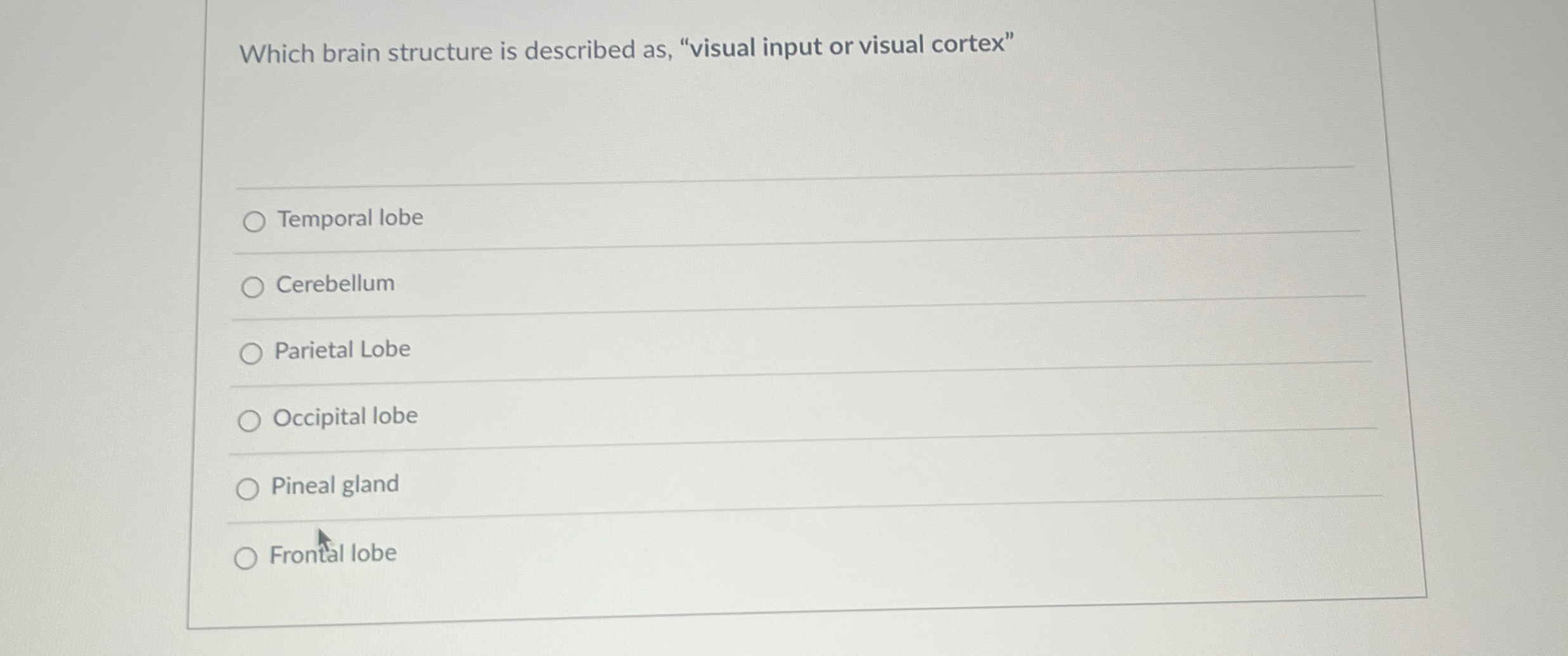 Solved Which brain structure is described as, ﻿"visual input | Chegg.com